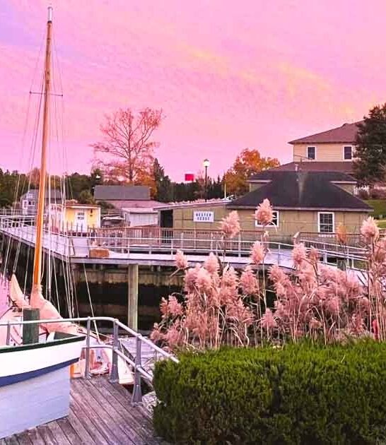 day trip new jersey ftr