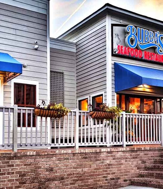 delicious oysters rockefeller virginia ftr