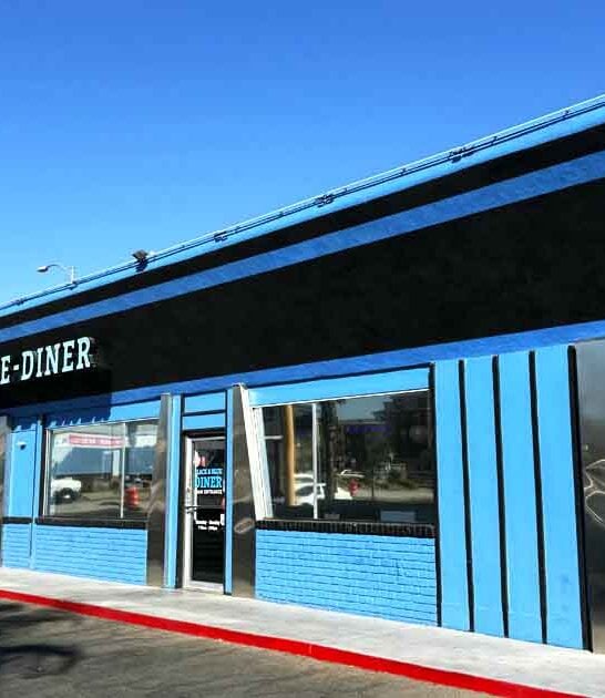 diner nevada chicken steak ftr