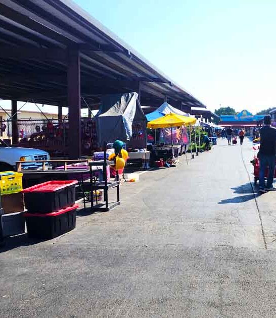 dream thrift market texas ftr