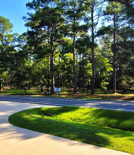 dreamy state park arkansas ftr