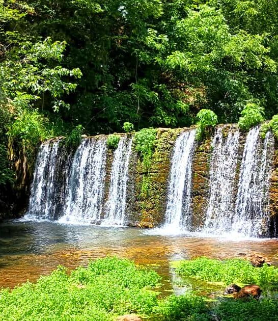 dreamy state park oklahoma ftr
