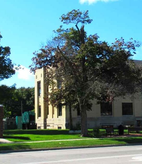 dreamy town michigan ftr