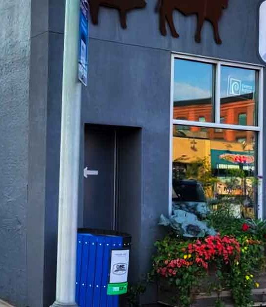 drive minnesota bbq feast ftr