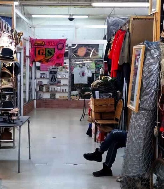 enormous flea michigan finds ftr