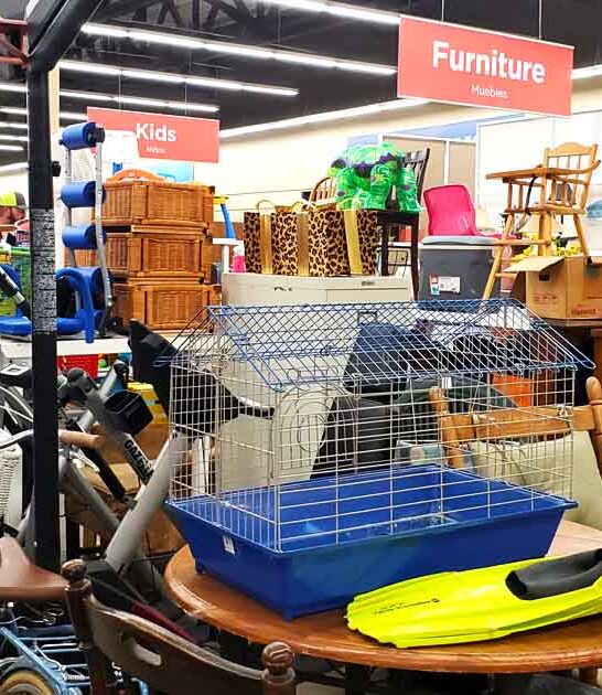 finds south dakota store ftr