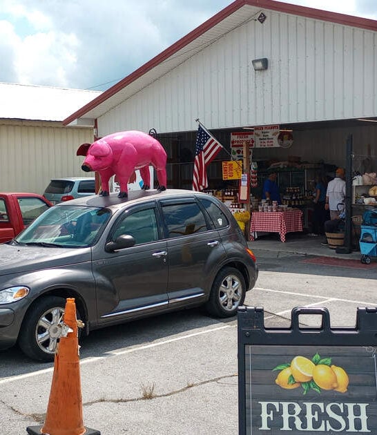 flea market affordable tennessee ftr