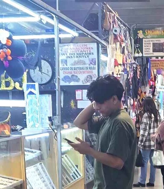 flea market bargains illinois ftr