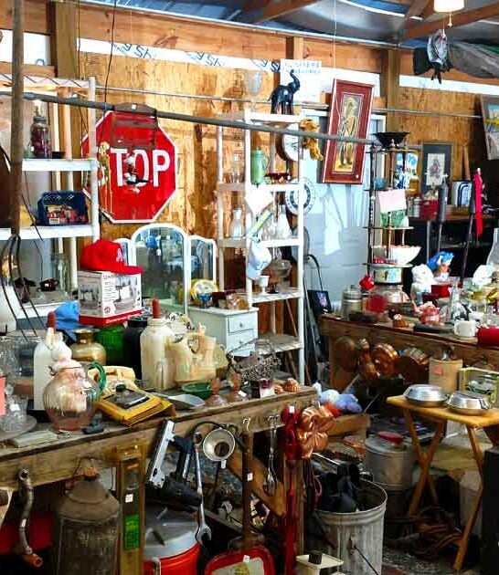 flea market georgia budget ftr