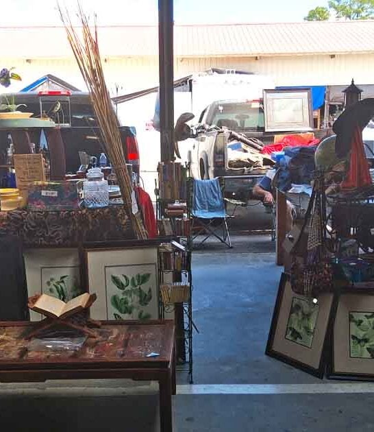 flea market rare finds georgia ftr