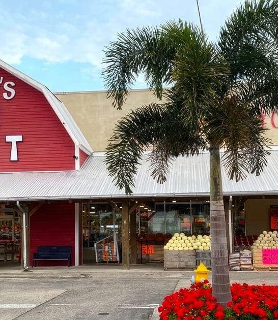 florida store discount grocery ftr