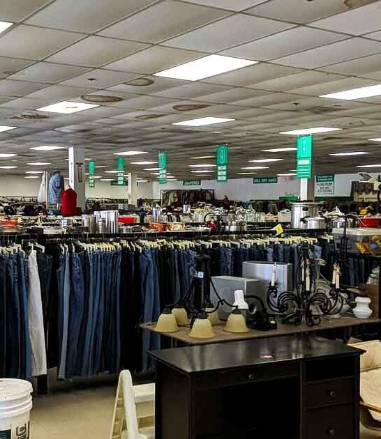 georgia bargain hunting thrift ftr