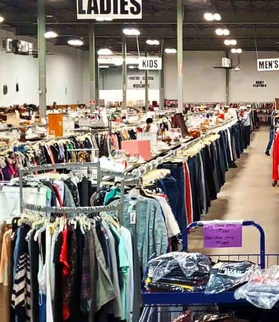 georgia cheat thrift store ftr