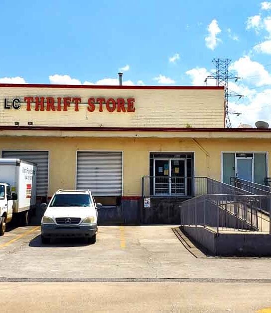 georgia massive save store ftr