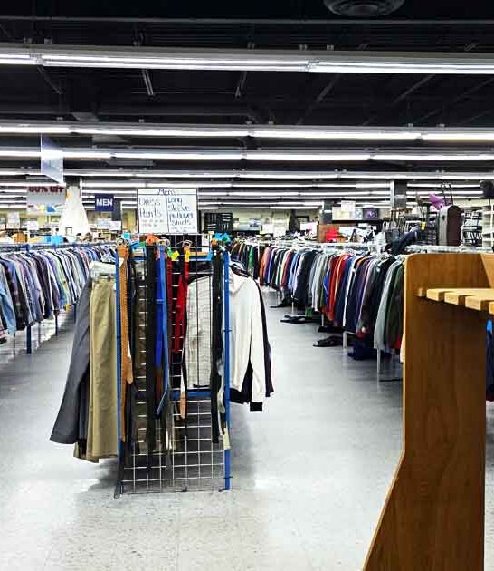 georgia massive treasures store ftr