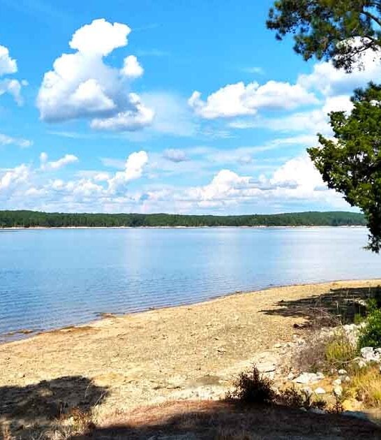 georgia park state gorgeous ftr