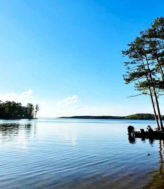 georgia unheard park perfect ftr