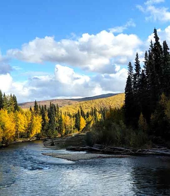 gorgeous park alaska perfect ftr