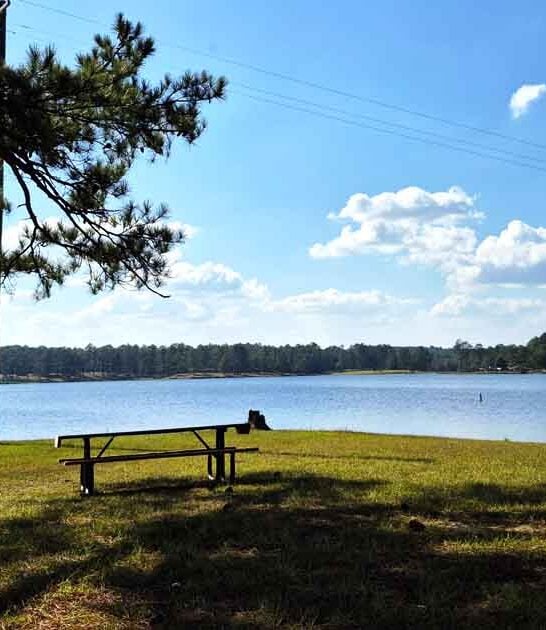 gorgeous park mississippi weekend ftr