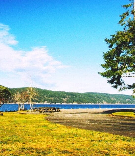 gorgeous park washington state ftr