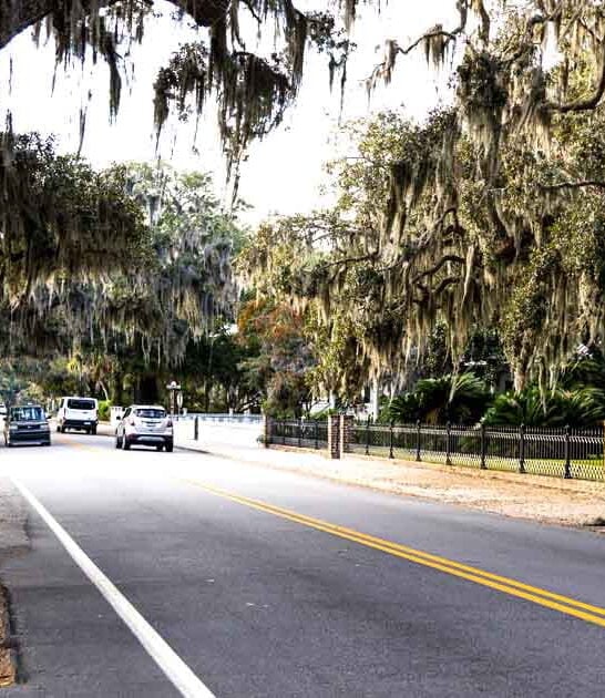 gorgeous south carolina trip ftr