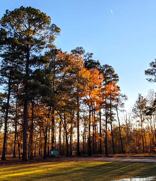 gorgeous state park arkansas ftr