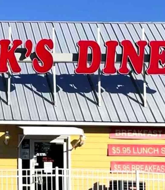 hash browns diner alabama ftr