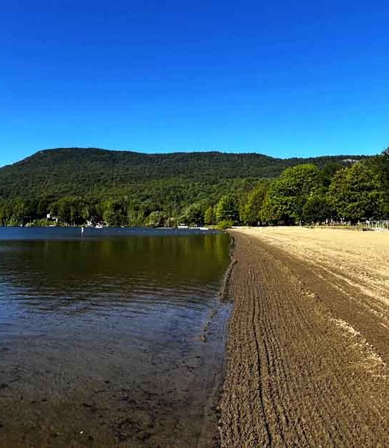 have yourself vermont park ftr