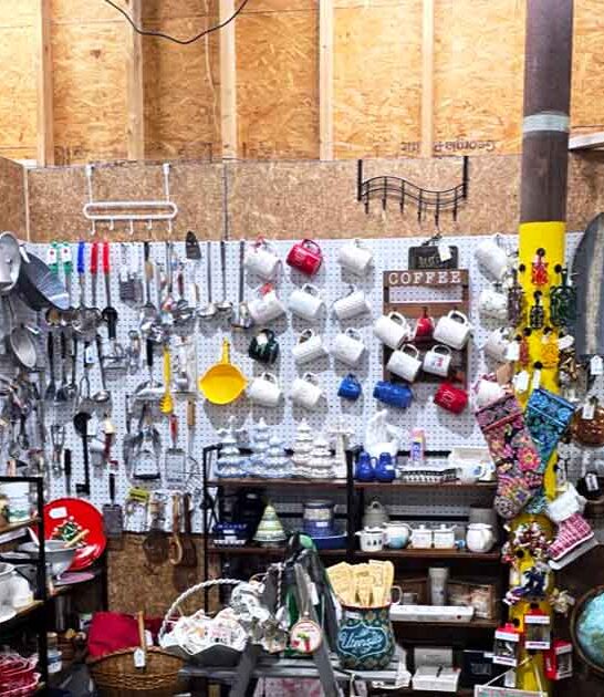 hunters favorite massachusetts market ftr