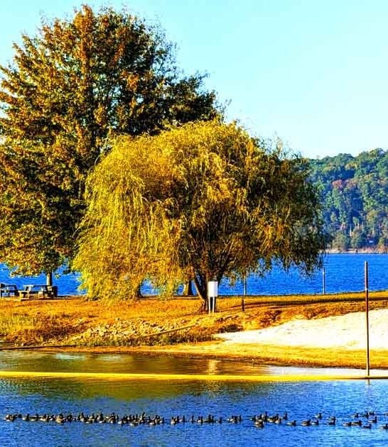 ideal state park tennessee ftr