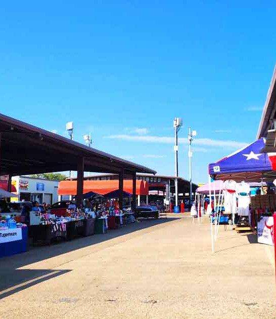 insane deals texas market ftr