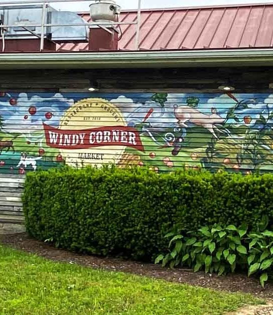 kentucky best oysters ftr