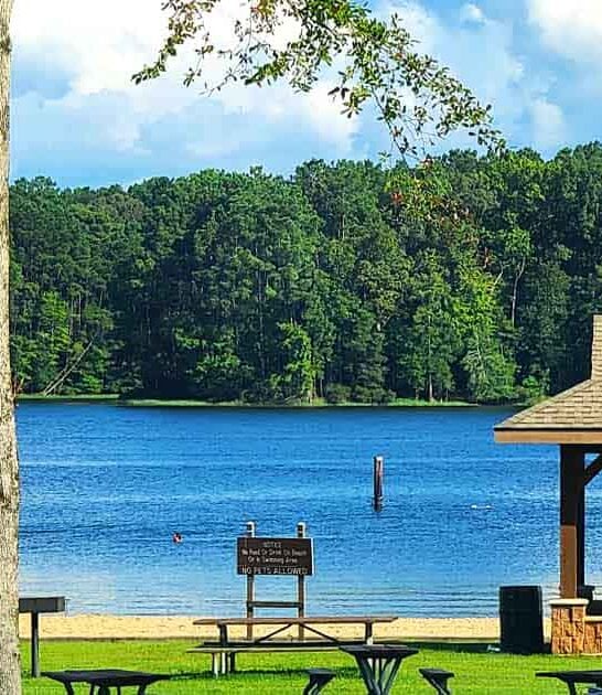 louisiana dreamy state park ftr