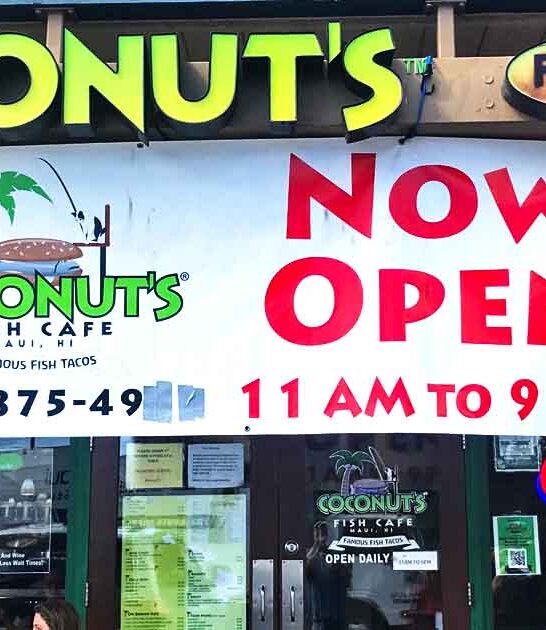 mahi mahi cafe hawaii ftr