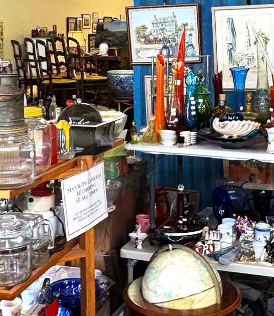 maine score deals flea ftr