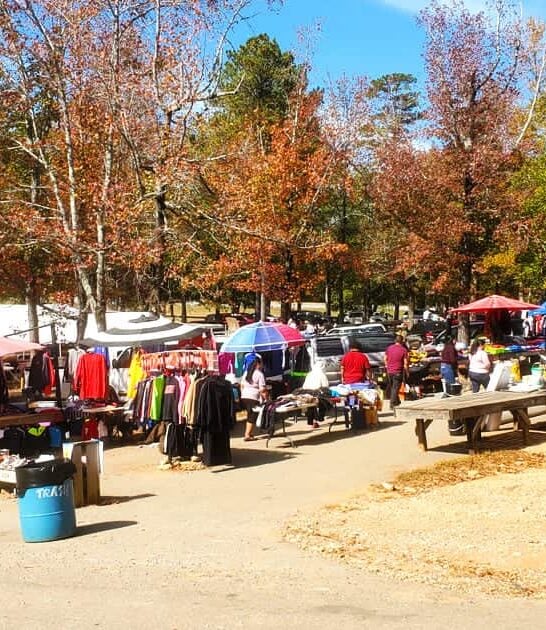 market georgia bargain hunters ftr