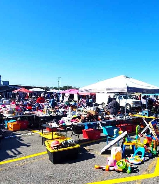 market maryland rare finds ftr