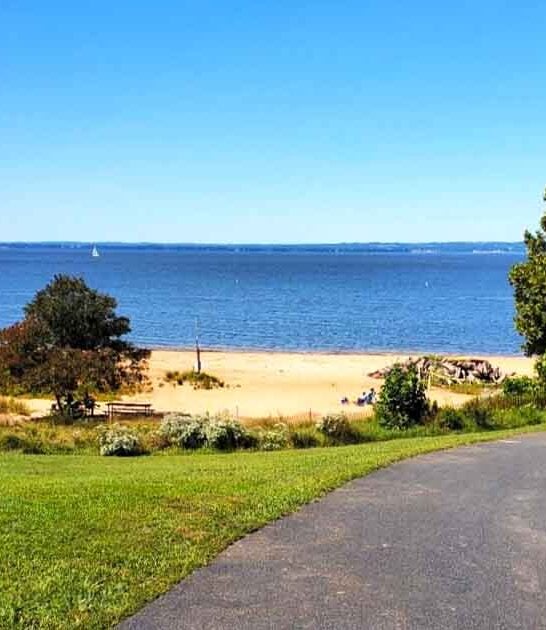 maryland postcard state park ftr