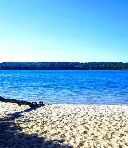 massachusetts secrets state park ftr