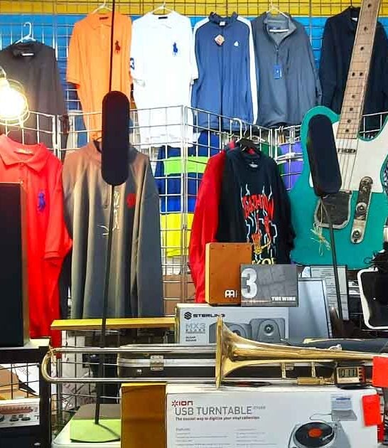 massive flea michigan far ftr