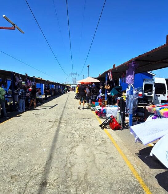 massive texas flea treasures ftr