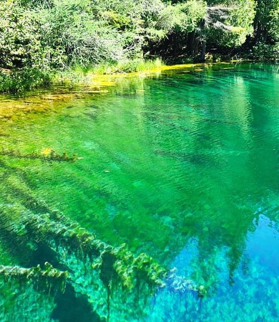 michigan park picturesque retreat ftr