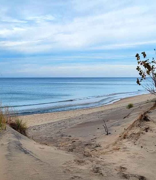 michigan park state scenic ftr