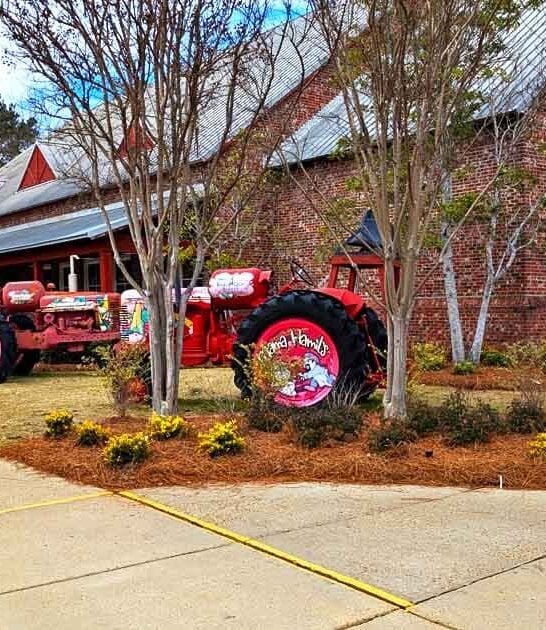 mississippi chicken reign restaurant ftr