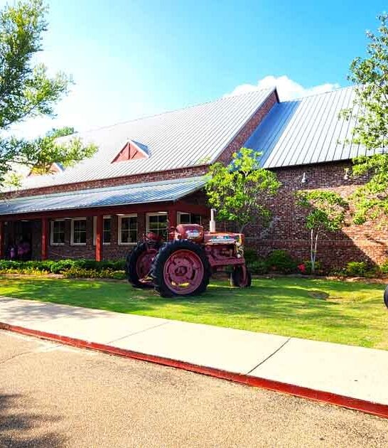 mississippi soul food restaurant ftr
