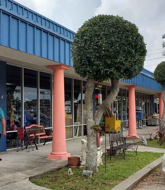 mississippi thrift store bargains ftr