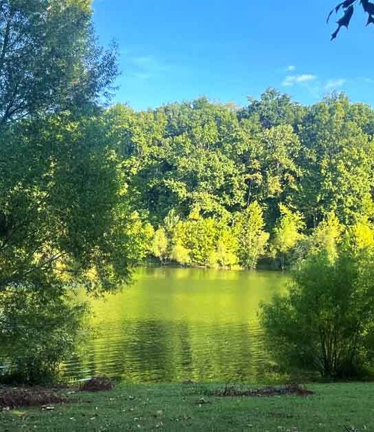 missouri state park dream ftr