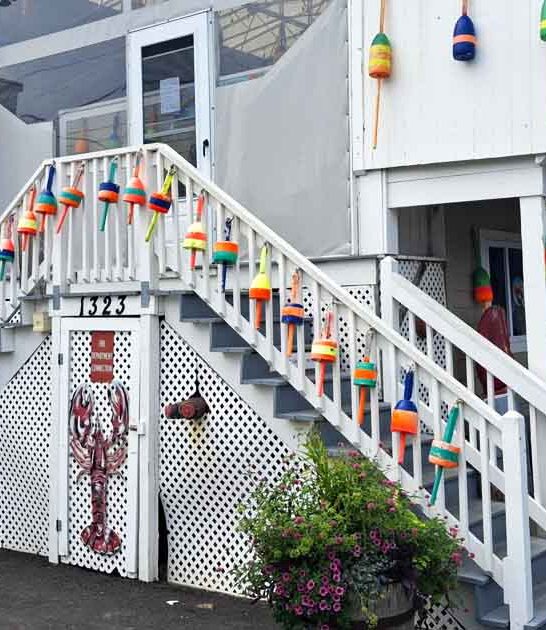 new hampshire clam chowder ftr