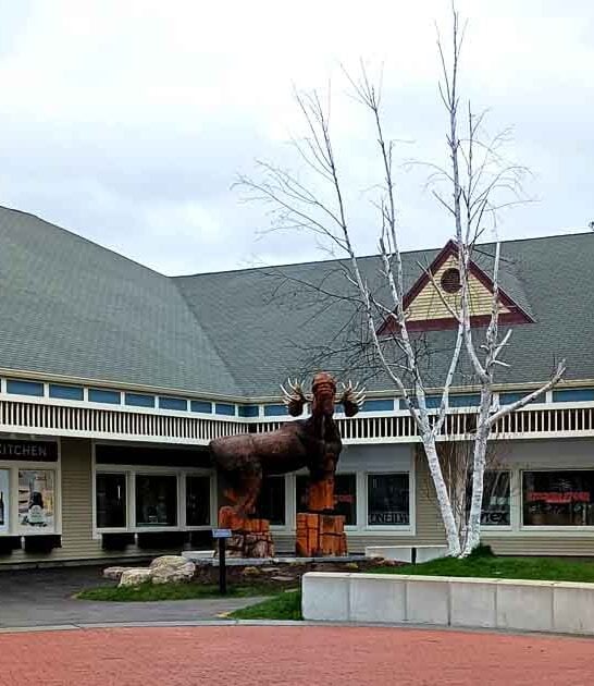 new hampshire mall bargain ftr