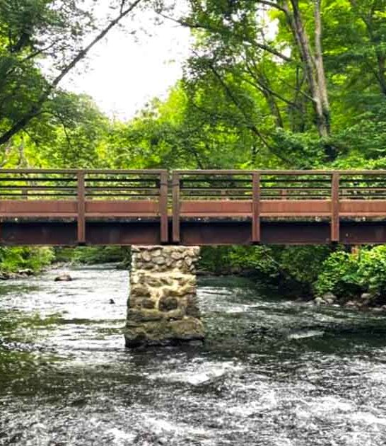 new jersey park perfect ftr